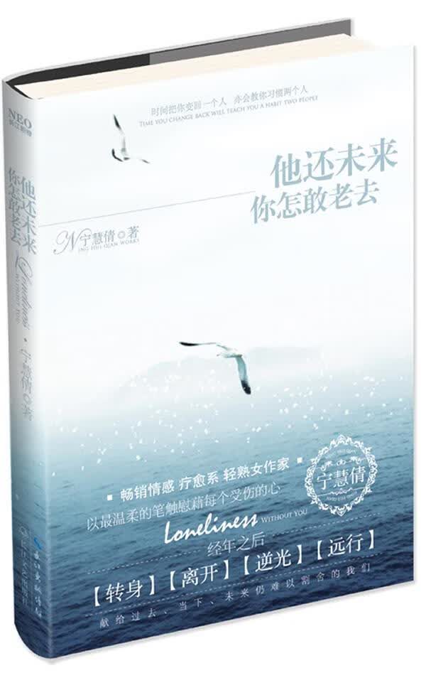 他还未来你怎敢老去 宁慧倩著 长江文艺出版社