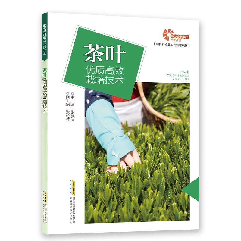 茶叶优质高效栽培技术/现代种植业实用技术系列