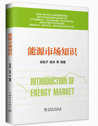 【现货】能源市场知识 张粒子 张洪编著