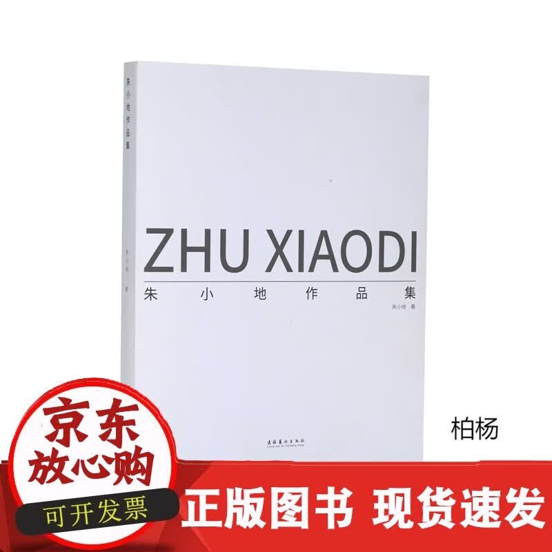 速发 朱小地作品集