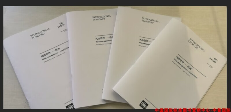(中文版标准)标准 31000-2018风险管理指南31000-2018