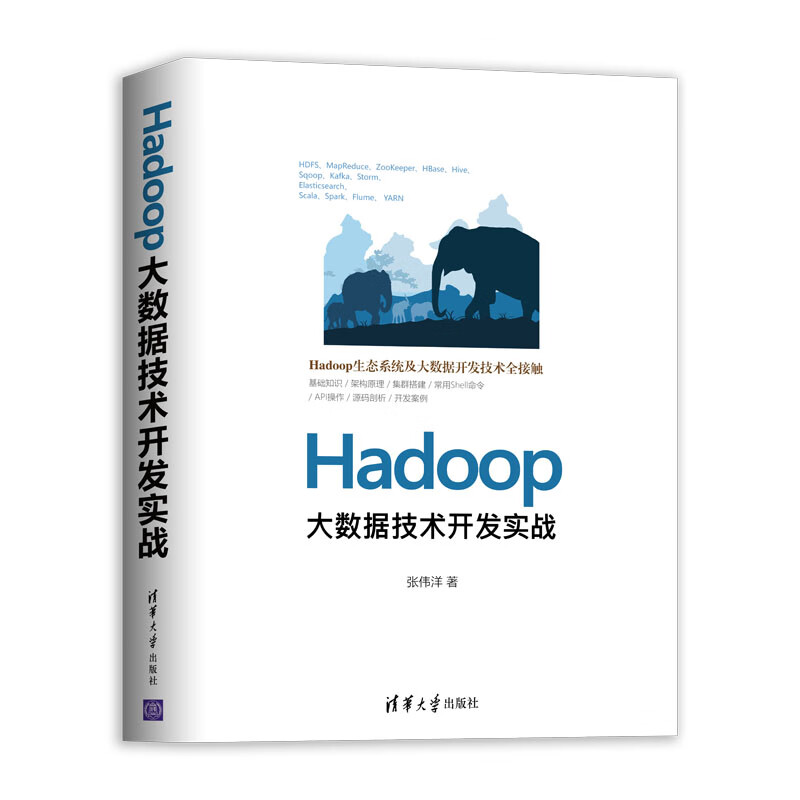 Hadoop大数据技术开发实战《现货速发》