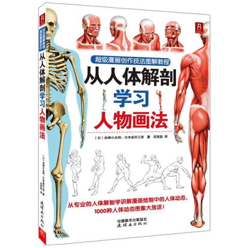 从人体解剖学习人物画法【好书，下单速发】
