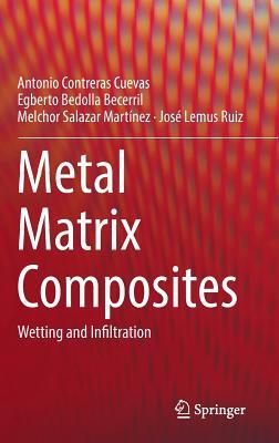 Metal Matrix Composites: Wetting and Infiltratio
