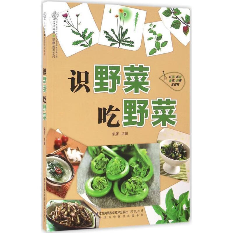 识野菜 吃野菜 朱强
