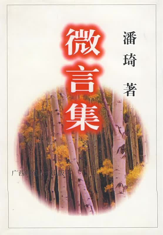 微言集 潘琦著