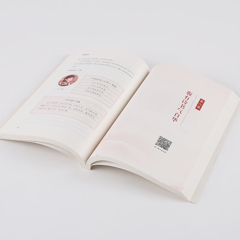 平“语”近人——习近平总书记用典(视频书)
