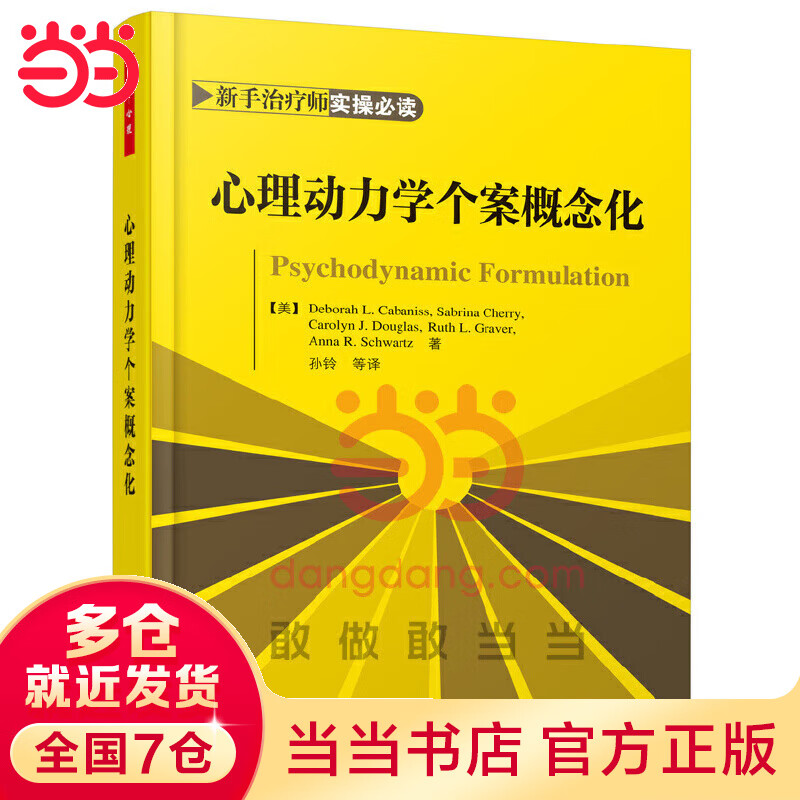 万千心理·心理动力学个案概念化