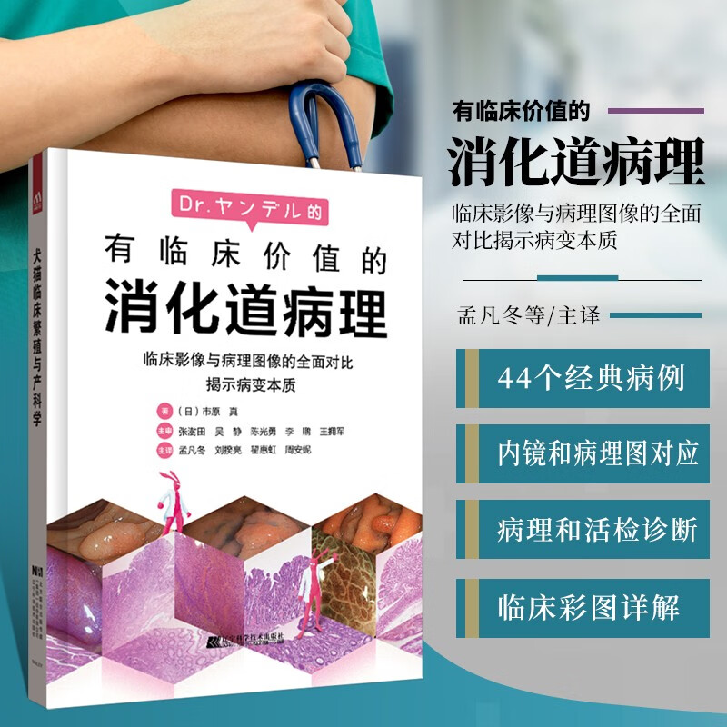 有临床价值的消化道病理 临床影像与病理图像的全面对比揭示病变本质 早期胃癌内镜诊断技巧读片指南书 消化道内镜病理指导书 消化内医师影像科内镜医师实用参考书 辽宁科学技术出版社