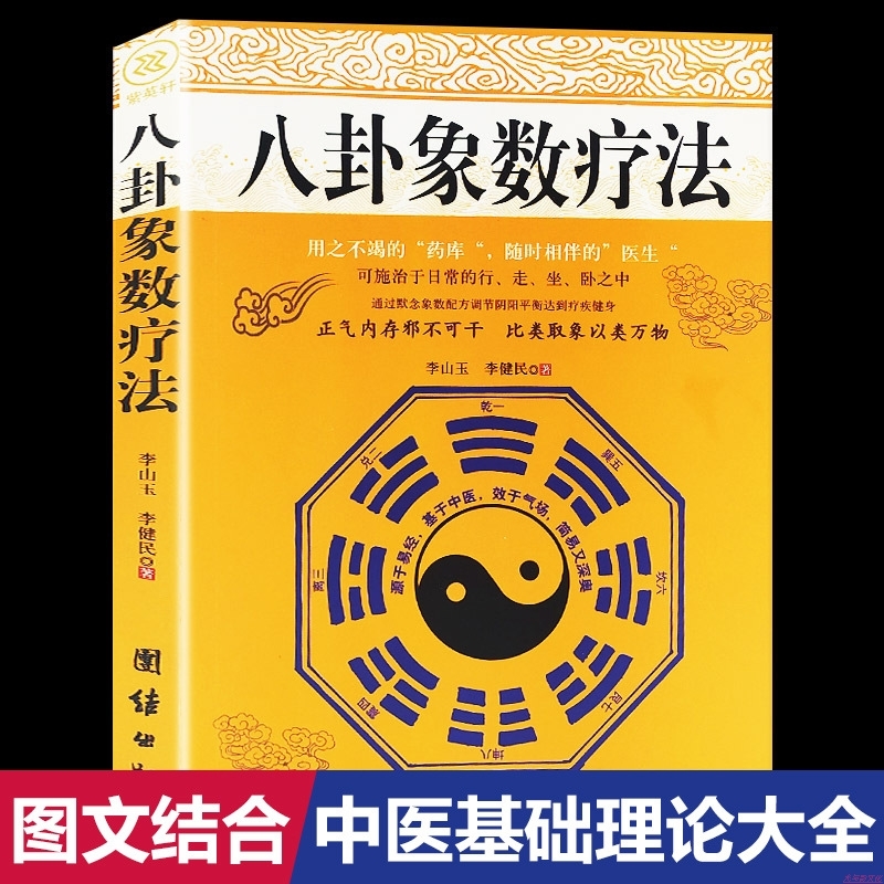 八卦象数疗法李山玉李健民著 周易与中医学易经数理秘笈 八卦象数点穴疗法中医养生保健周易学书籍
