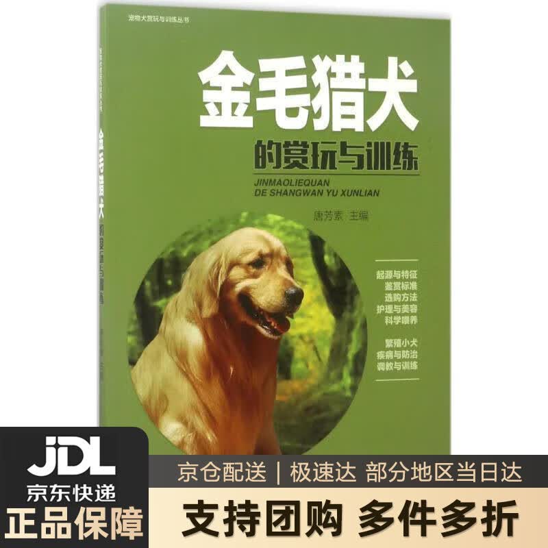 【 送货上门】金毛猎犬的赏玩与训练