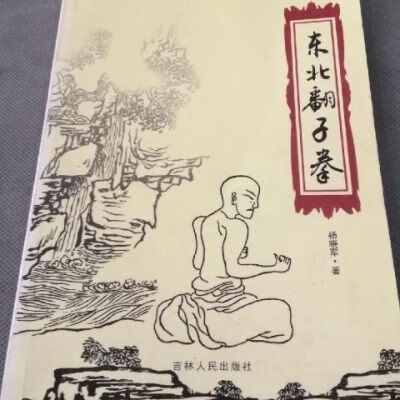 东北翻子拳 拳术 运动技术 杨晓军著 武功武书 东北翻子拳