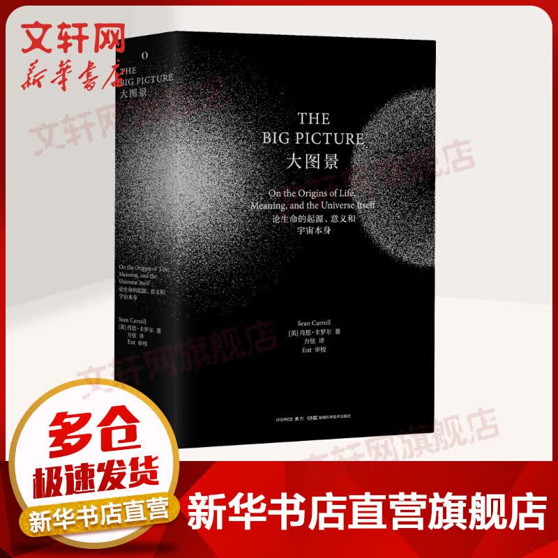 大图景 论生命的起源、意义和宇宙本身