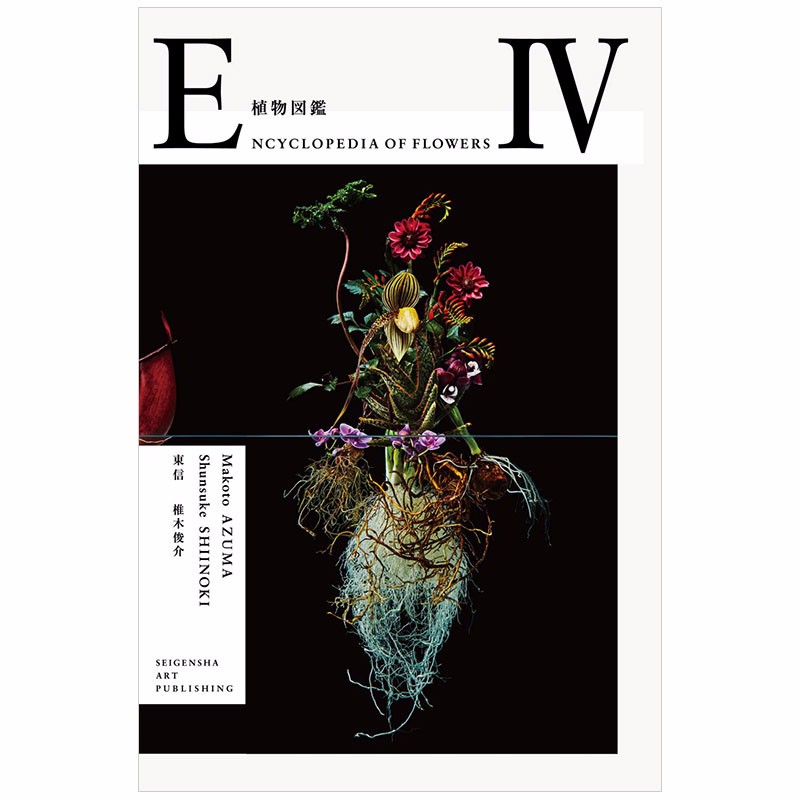 日本日文原版摄影 植物图鉴4植物図鑑IV 椎木俊介東信Seigensha 日版青幻舍舎图书书籍善本图书