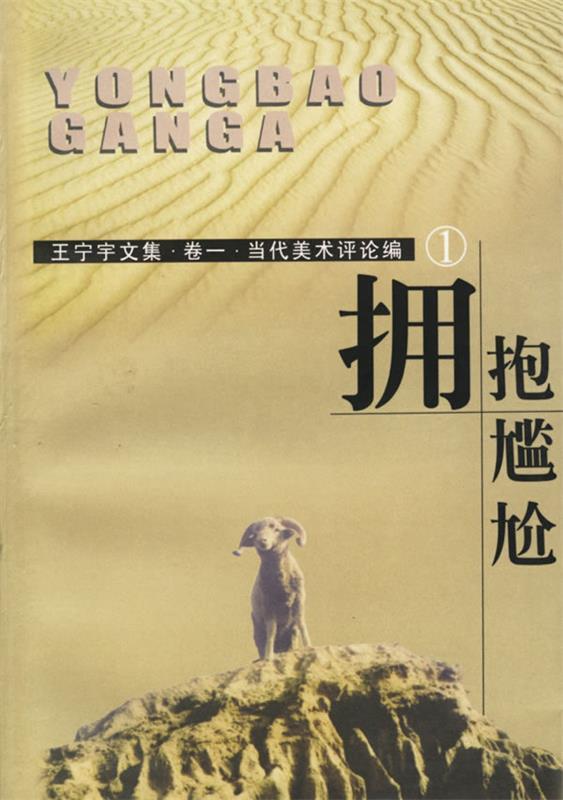 拥抱尴尬 王宁宇 著