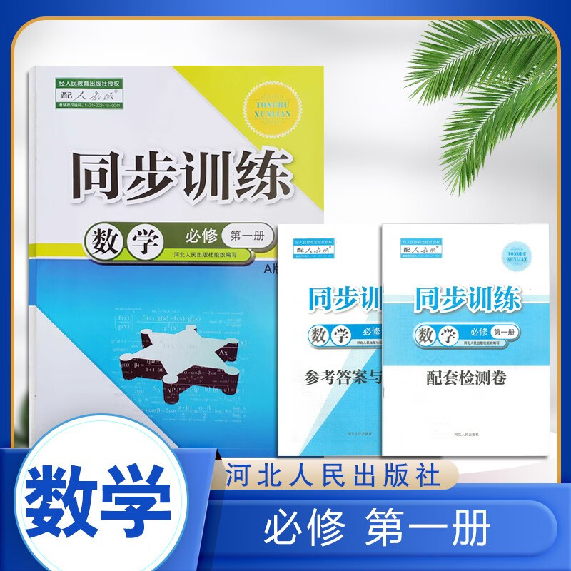 【高一全科】高中数学同步训练语数英物化生政史  必修第一册  +含卷+答案 高一全 河北 人民出版社 数学必修第一册 高一年级