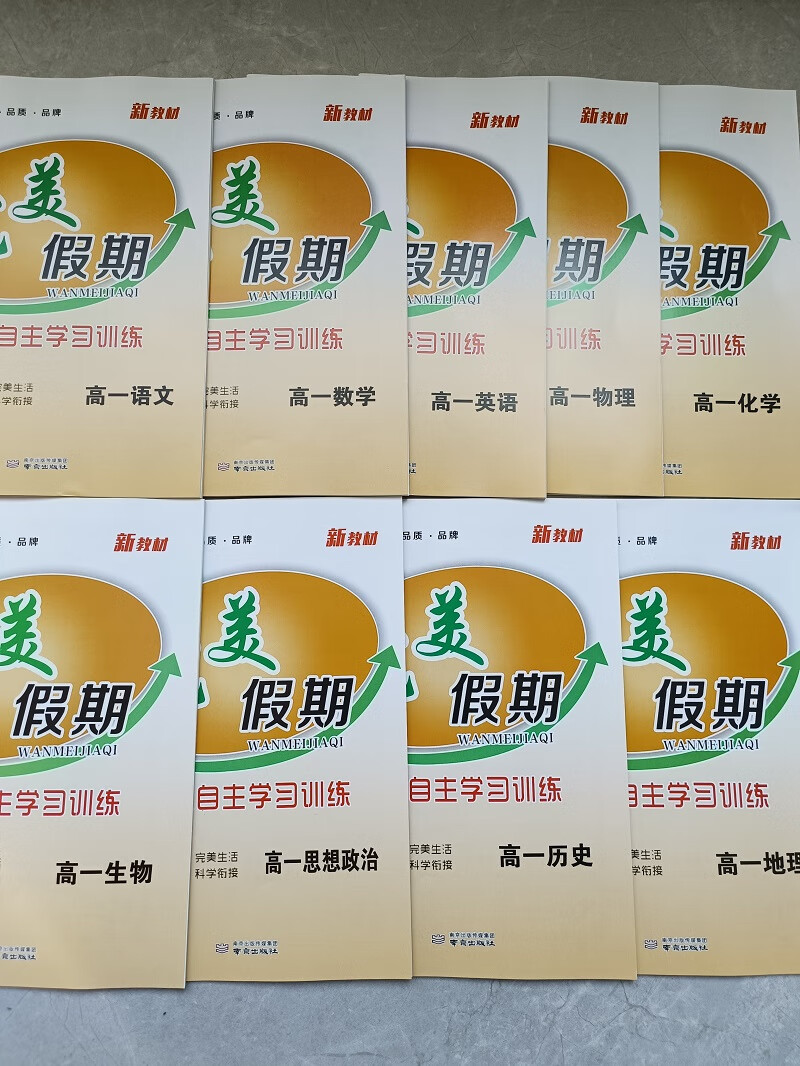 2023新版完美假期暑假自主学习训练高一新教材语数英物化生政史地 语文 高一下