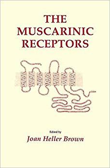 The Muscarinic Receptors