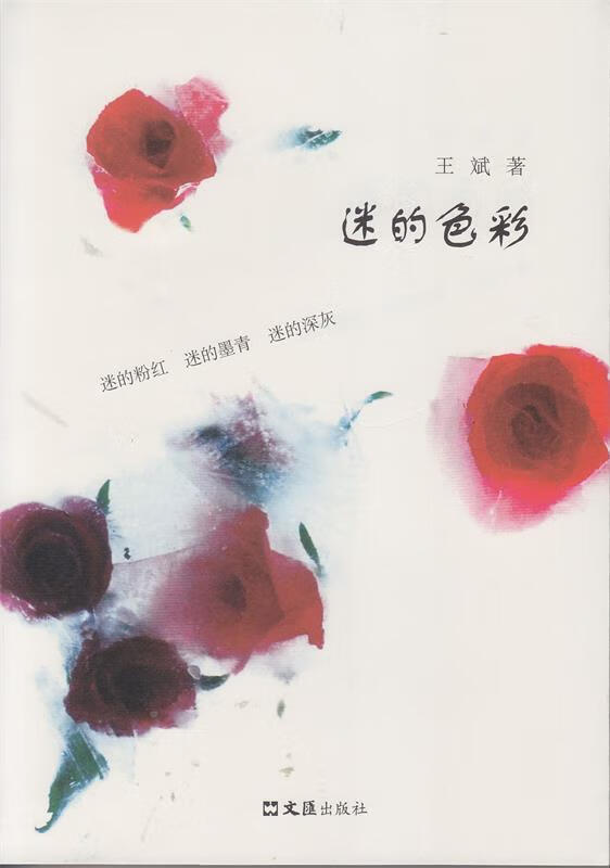 迷的色彩 王斌【书】