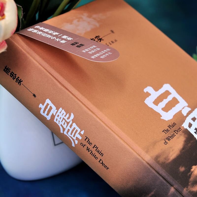 白鹿原 20周年精装典藏版完整版 陈忠实著茅盾文学获奖作品原著无删减1993年版原版纪念版人民文学出 1993版