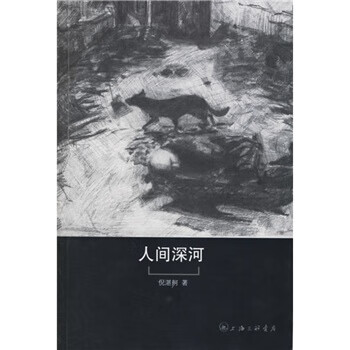 人间深河 倪湛舸【书】