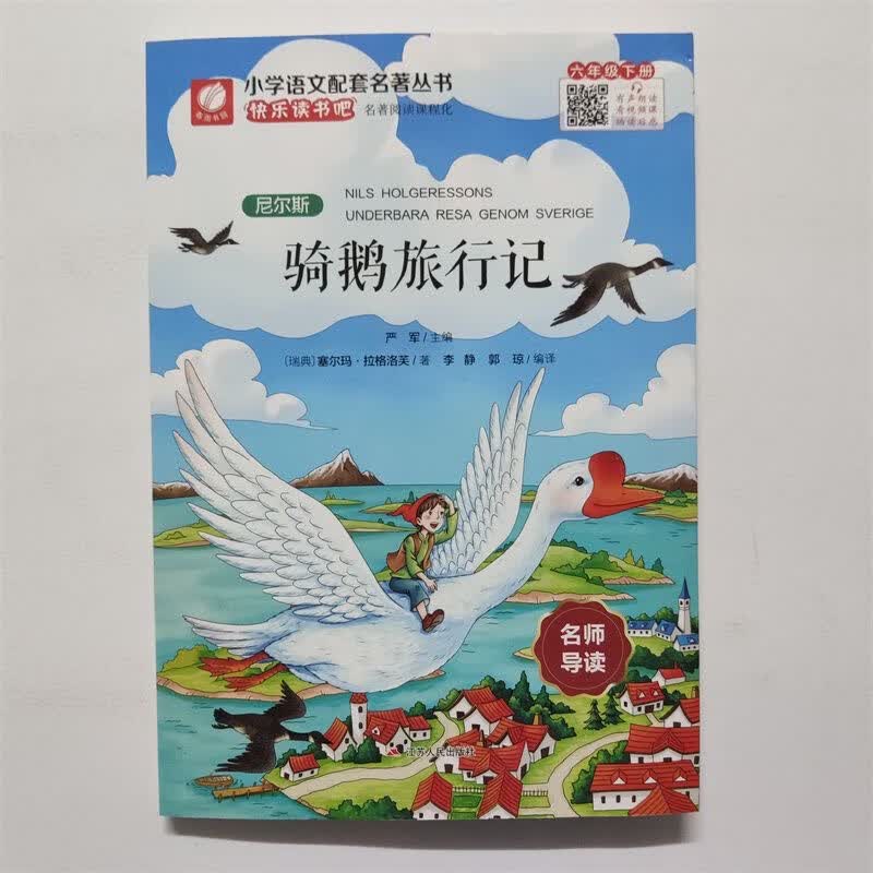 小学语文配套名著丛书一二三四五六年级下册 春雨 骑鹅旅行记