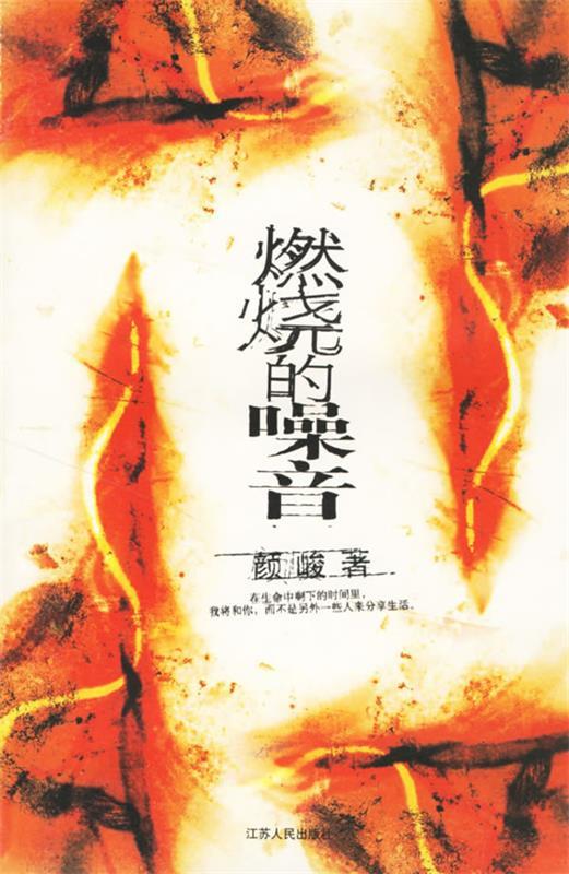 燃烧的噪音 颜峻 著【书】