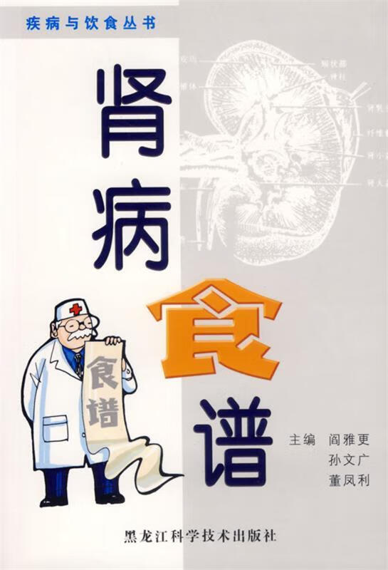 肾病食谱 阎雅更,孙文广,董凤利 主编