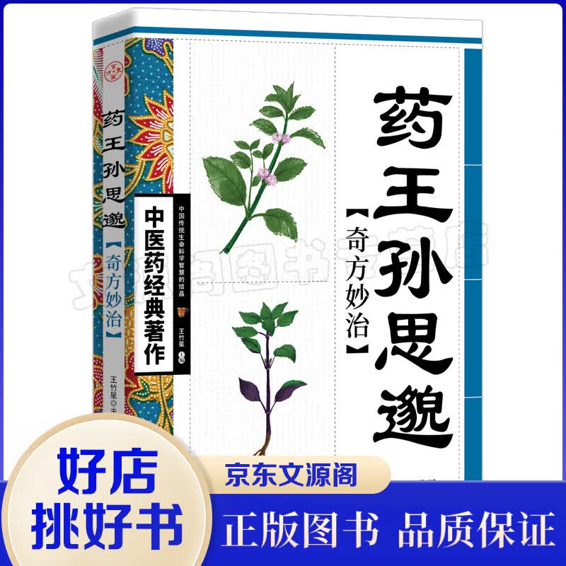 药王孙思邈奇方妙治 中医基础理论书籍中医名家奇方妙治丛书中医入门参考书籍中医宝典中医药经典之作