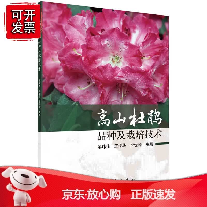 高山杜鹃品种及栽培技术