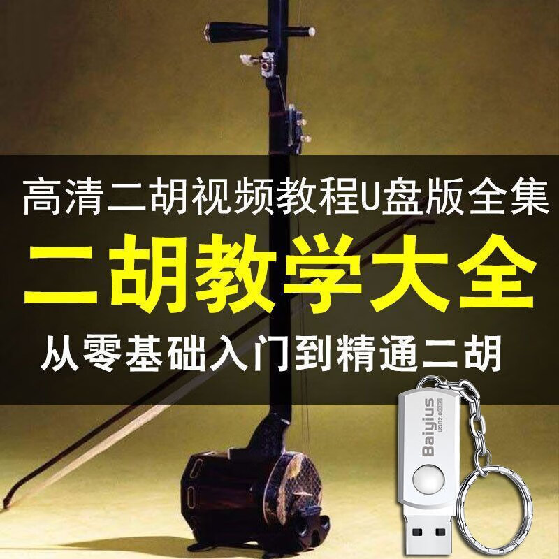 二胡视频教程U盘64G名师讲解拉二胡自学零基础入门初学者全套优盘 红色