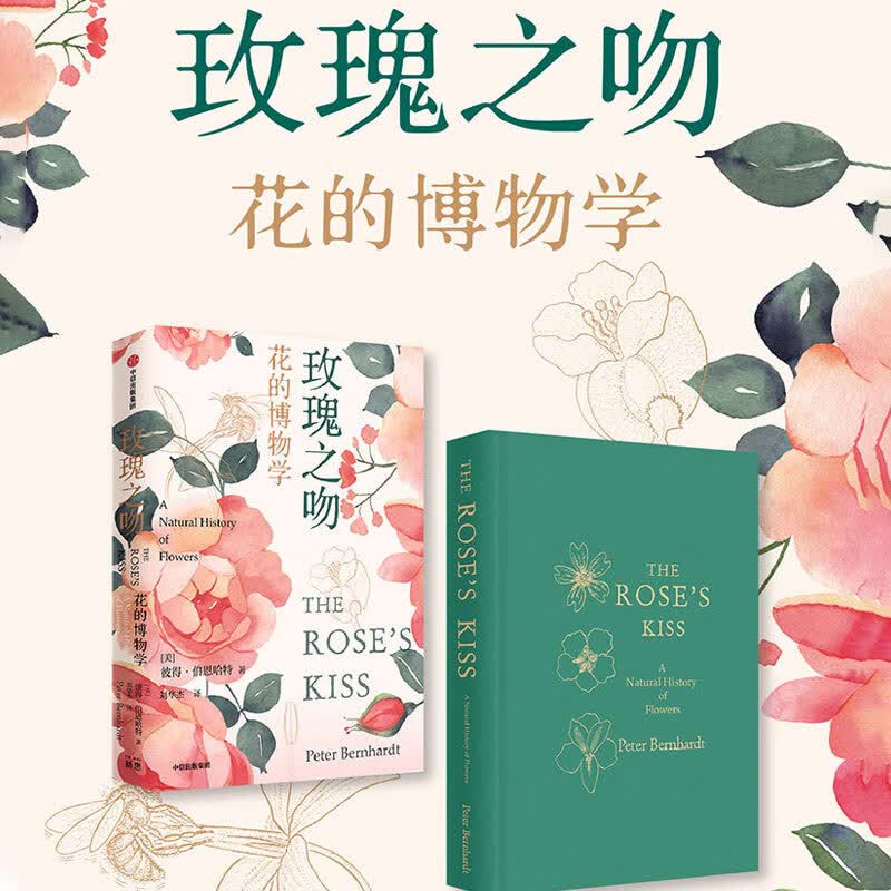 玫瑰之吻花的博物学