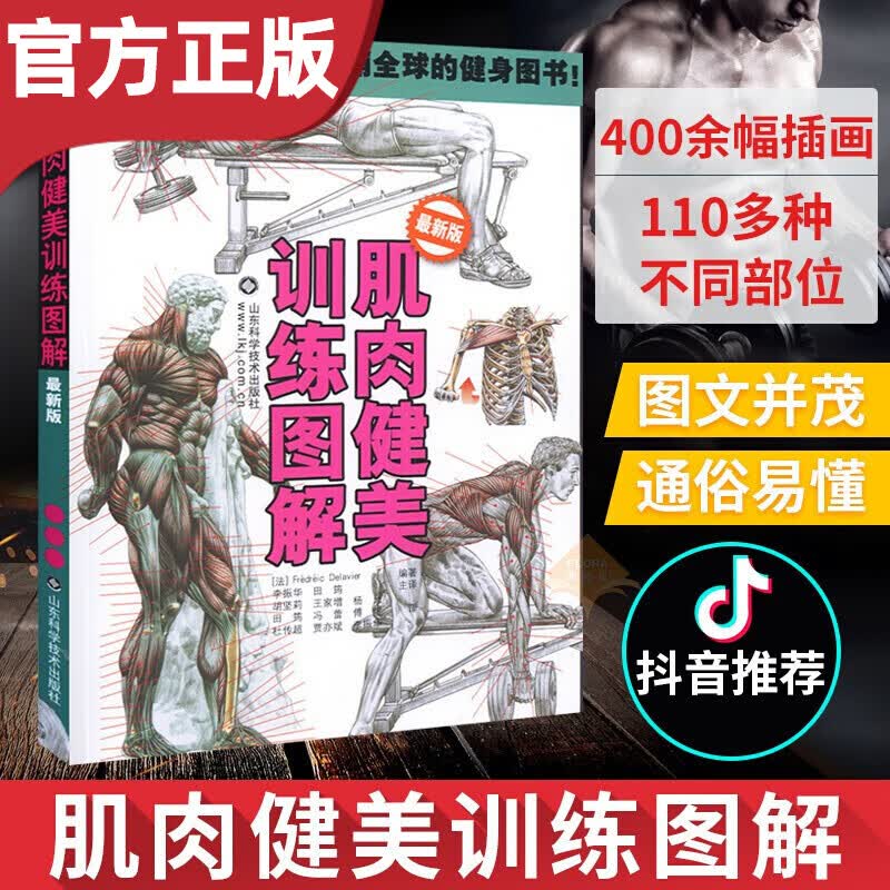 肌肉健美训练图解 肌肉力量解剖学图谱健身书籍教程大全私人教练徒手健身 肌肉拉伸训练体能训练书运动