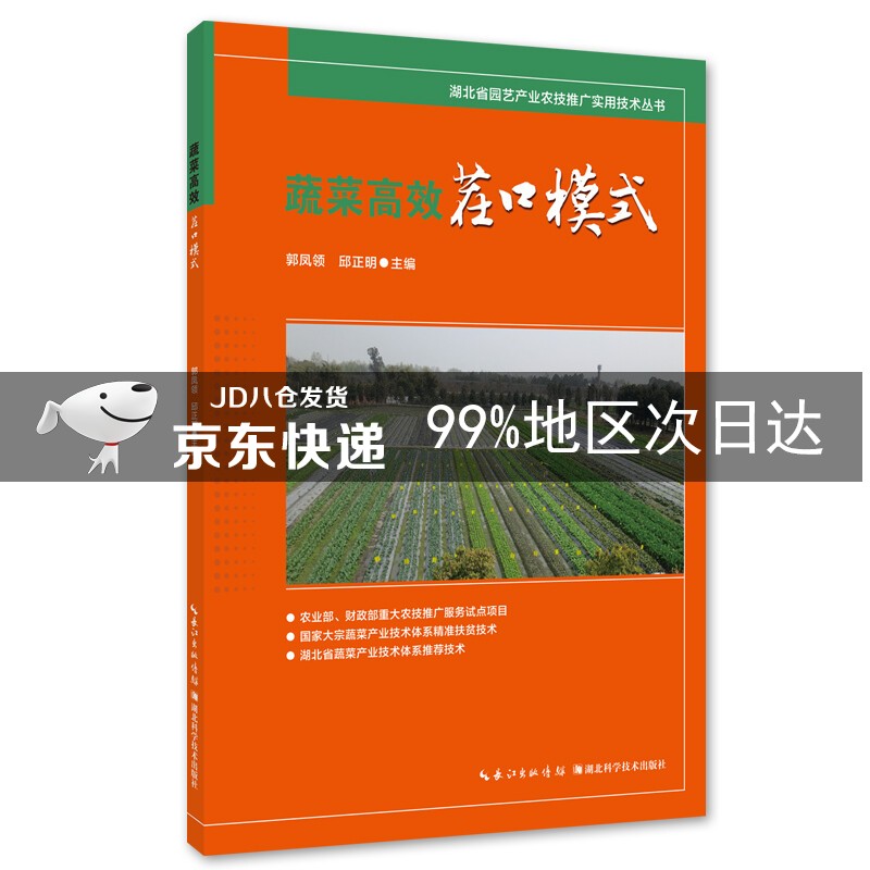 蔬菜高效茬口模式