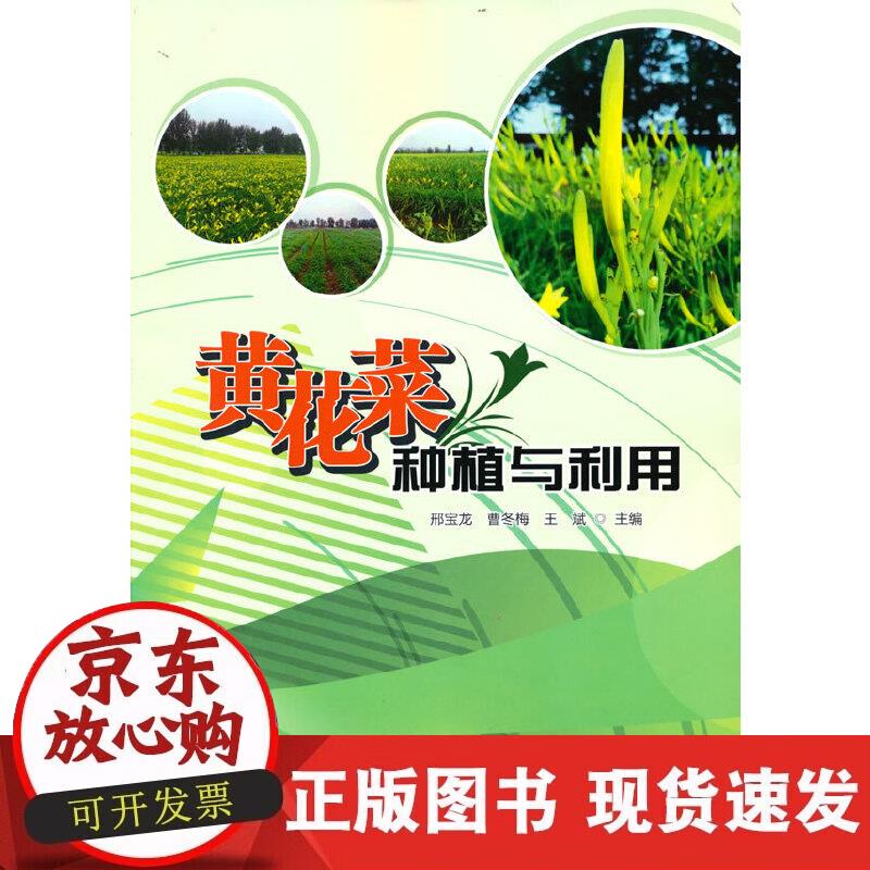 【现货】黄花菜种植与利用