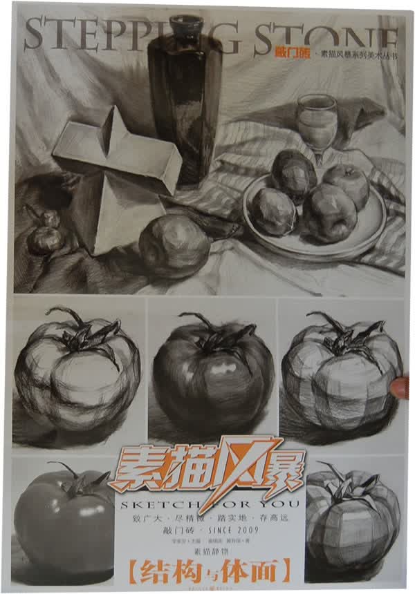 敲门砖素描风暴--素描静物 结构与体面崔锡虎,黄有强重庆出版社