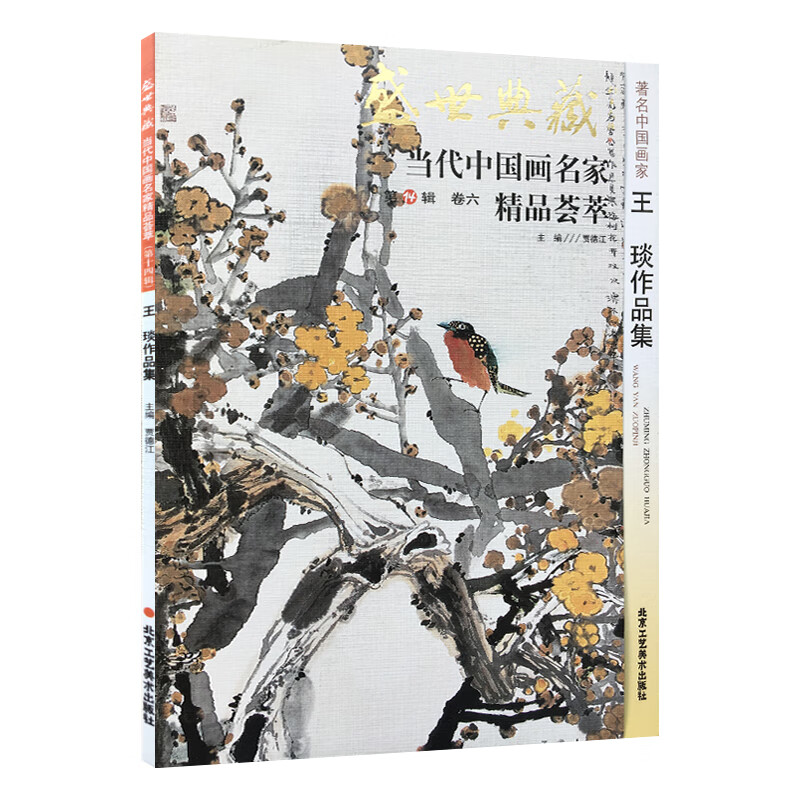 中国画 王琰作品集 盛世典藏系列  贾德江编著 当代中国画名家 精品荟萃 第14辑 卷六国画书