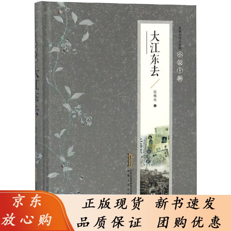 张恨水作品典藏·小说十种:大江东去安徽文艺张恨水