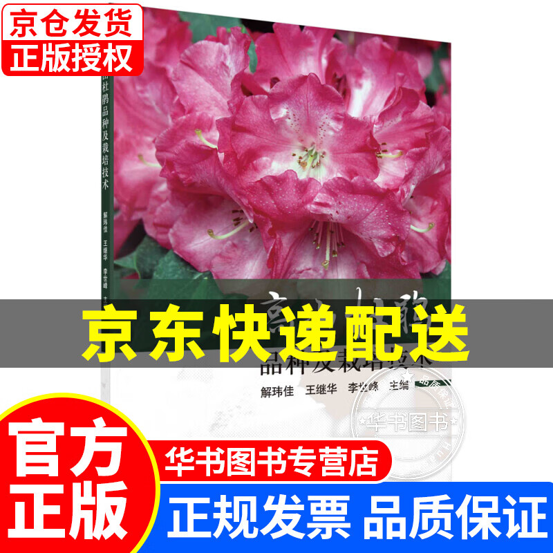 高山杜鹃品种及栽培技术