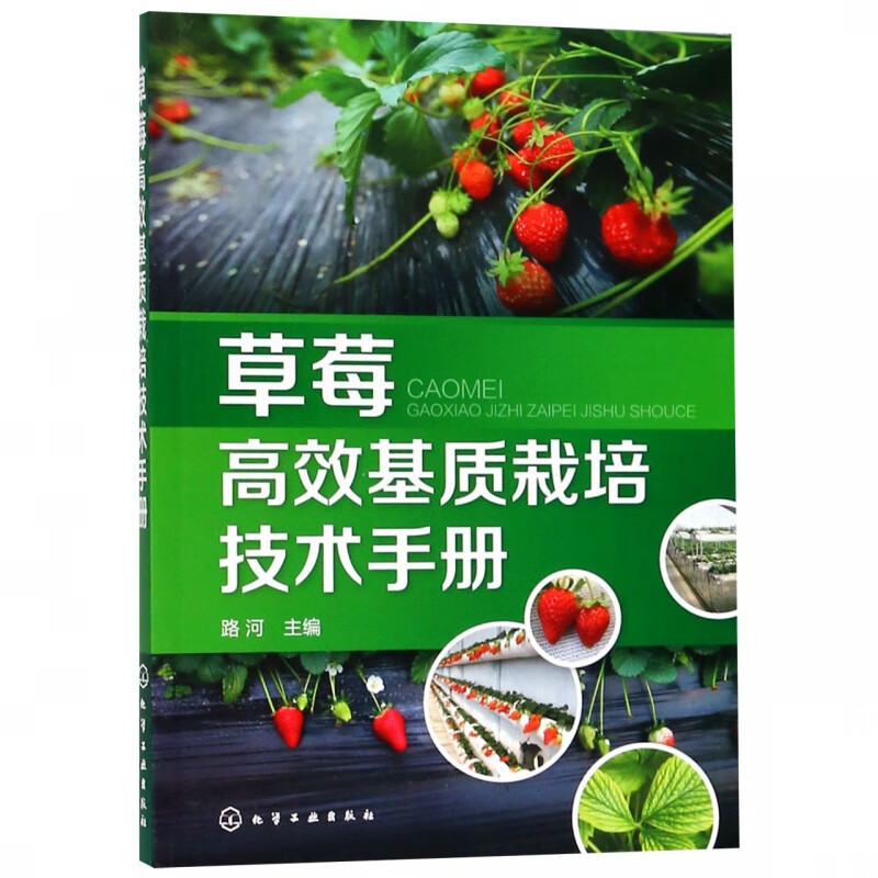 草莓高效基质栽培技术手册