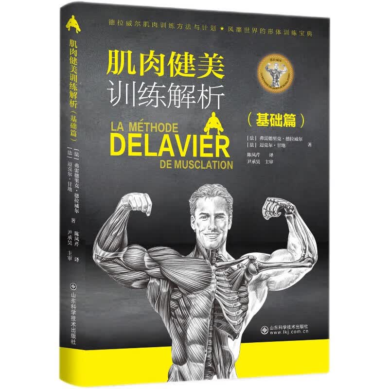 肌肉健美训练解析（基础篇）