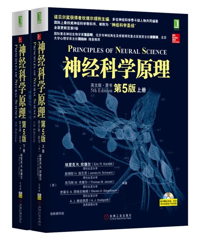 官网 神经科学原理(英文版原书第5版)(美)埃里克 坎德尔 徐群渊 神经元的被动电特性