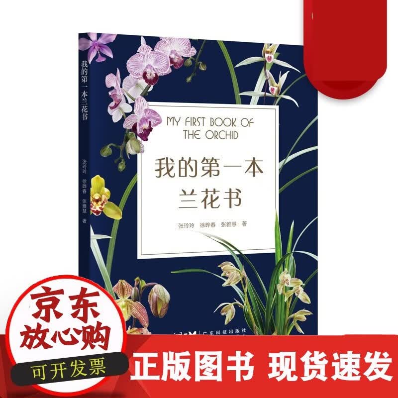 C 我的本兰花书 广东科技出版社C