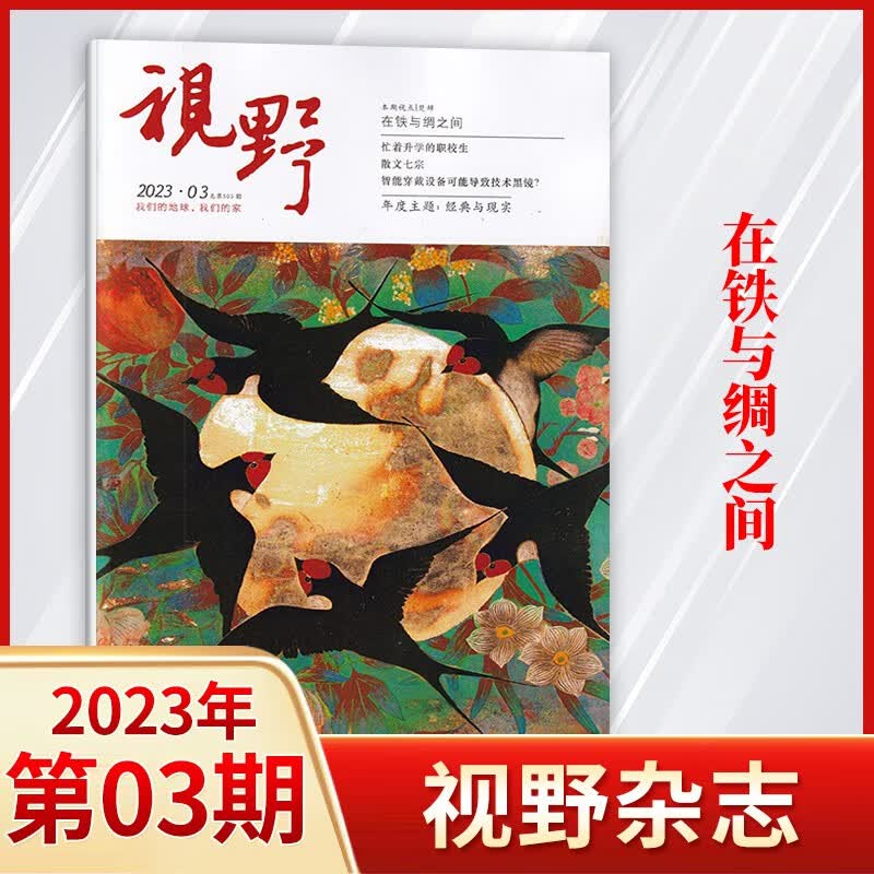【16期现货】视野杂志2023年16期新 综合性文摘文学类人文生活期刊杂志 23年2月3期 在铁与绸之间