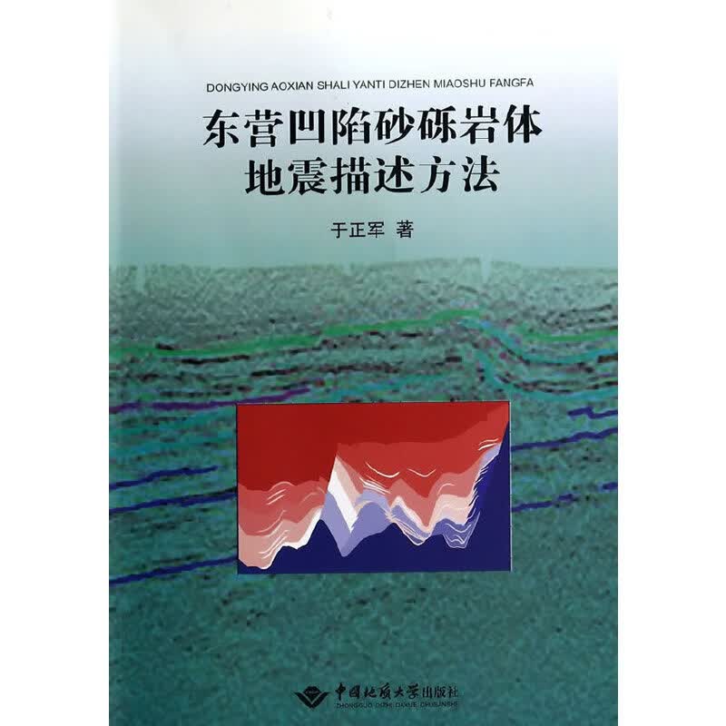 东营凹陷砂砾岩体地震描述方法