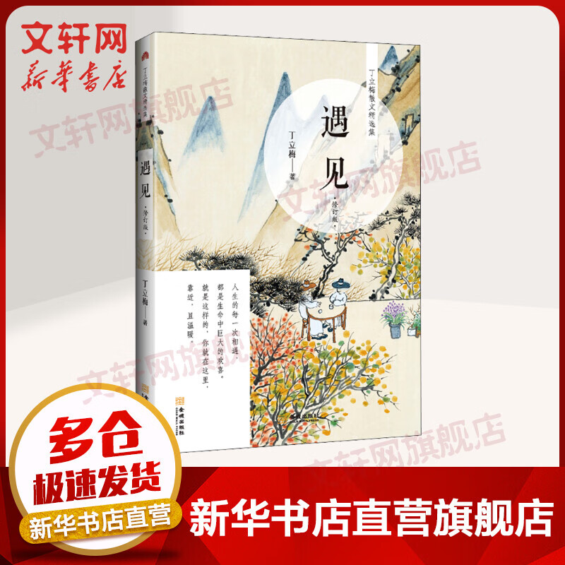 遇见 修订版 丁立梅散文集