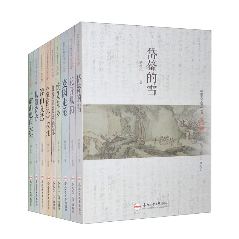枞阳文学精品丛书（第4辑 共9册）