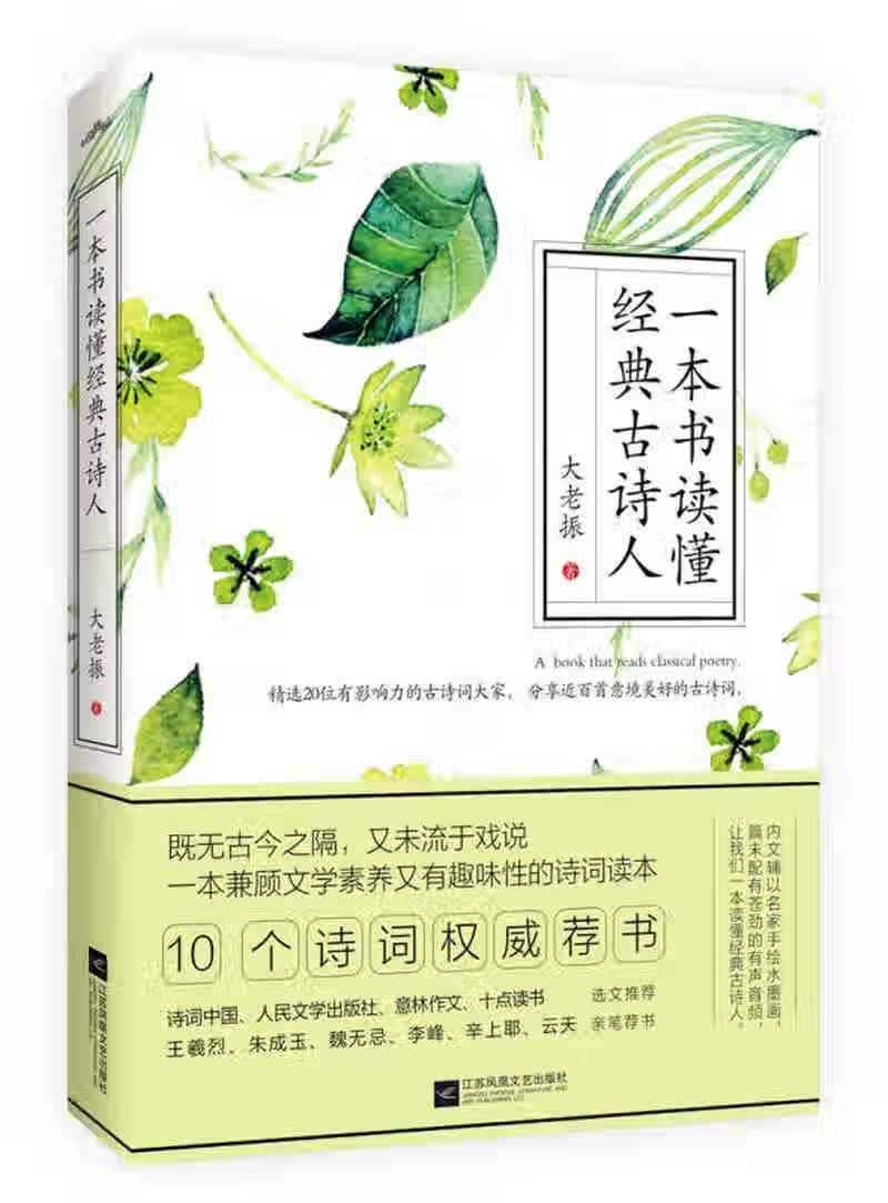 一本书读懂经典古诗人【好书】
