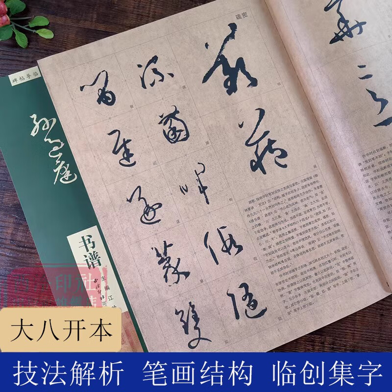 【放大本】孙过庭书谱 碑帖导临 草书毛笔字帖集字作品初学者笔画结构技法教材附简体旁注 草书入门学习教程书籍毛笔书法临摹字帖