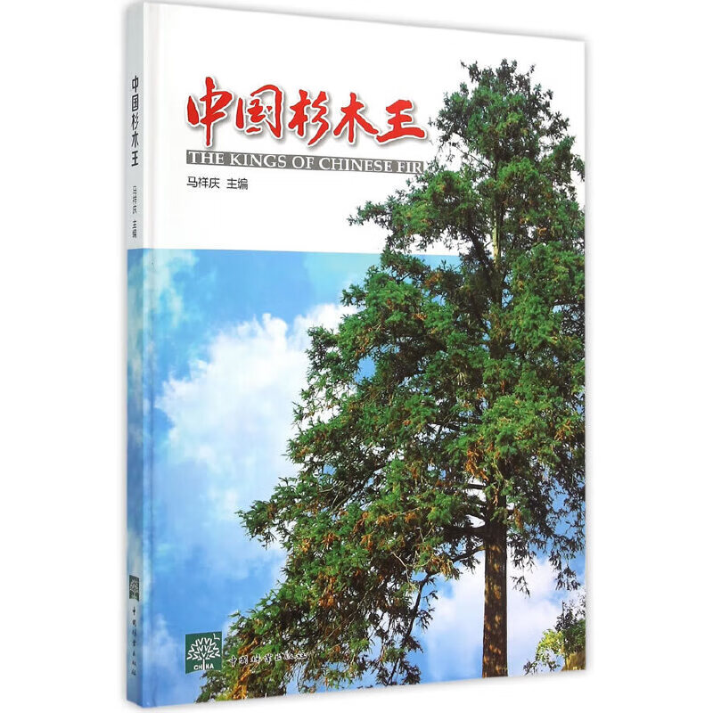 【现货】中国杉木王
